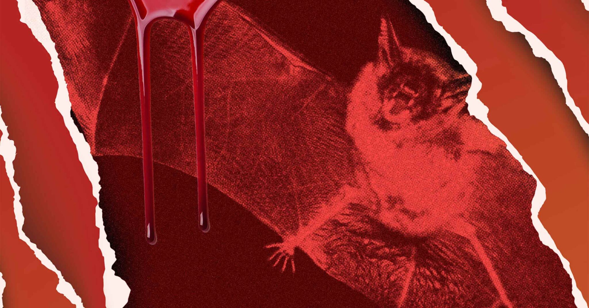 2025/26 Season – KCRep